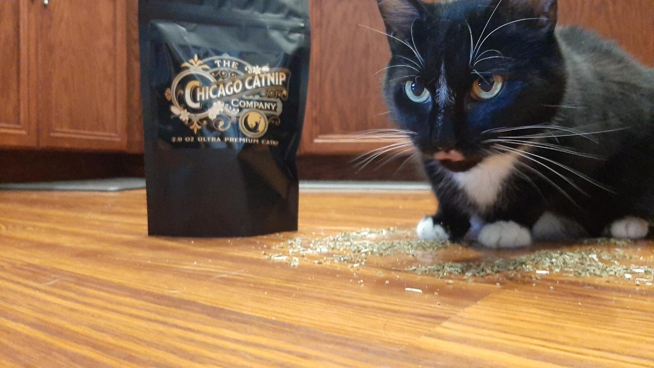 The Chicago Catnip Company