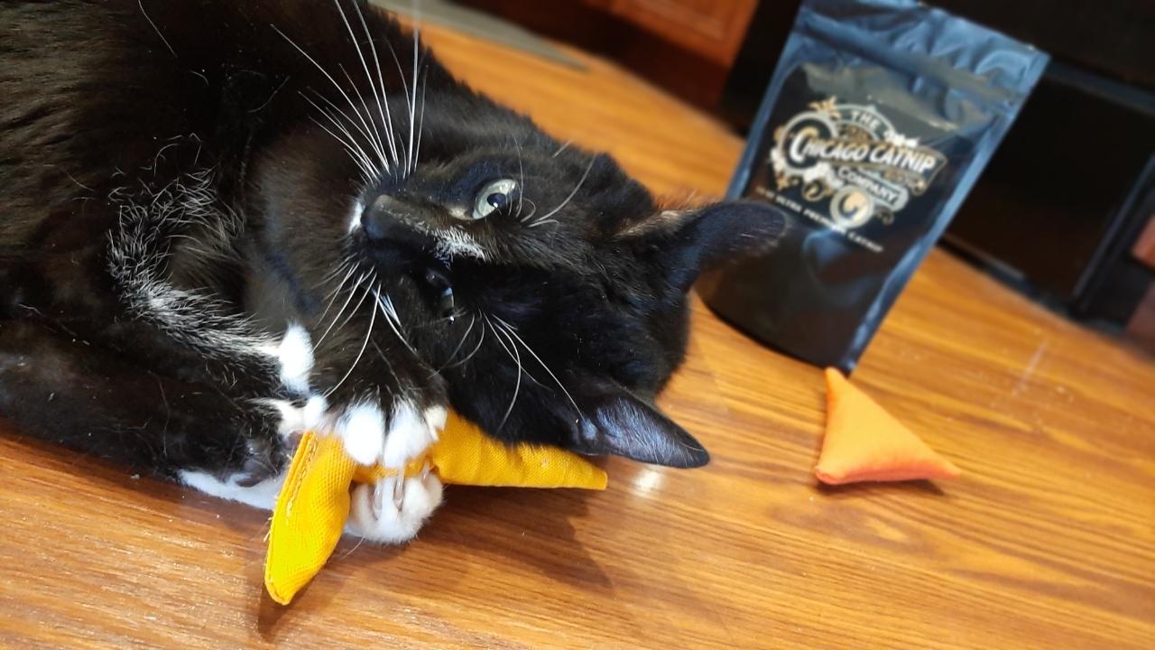 The Chicago Catnip Company